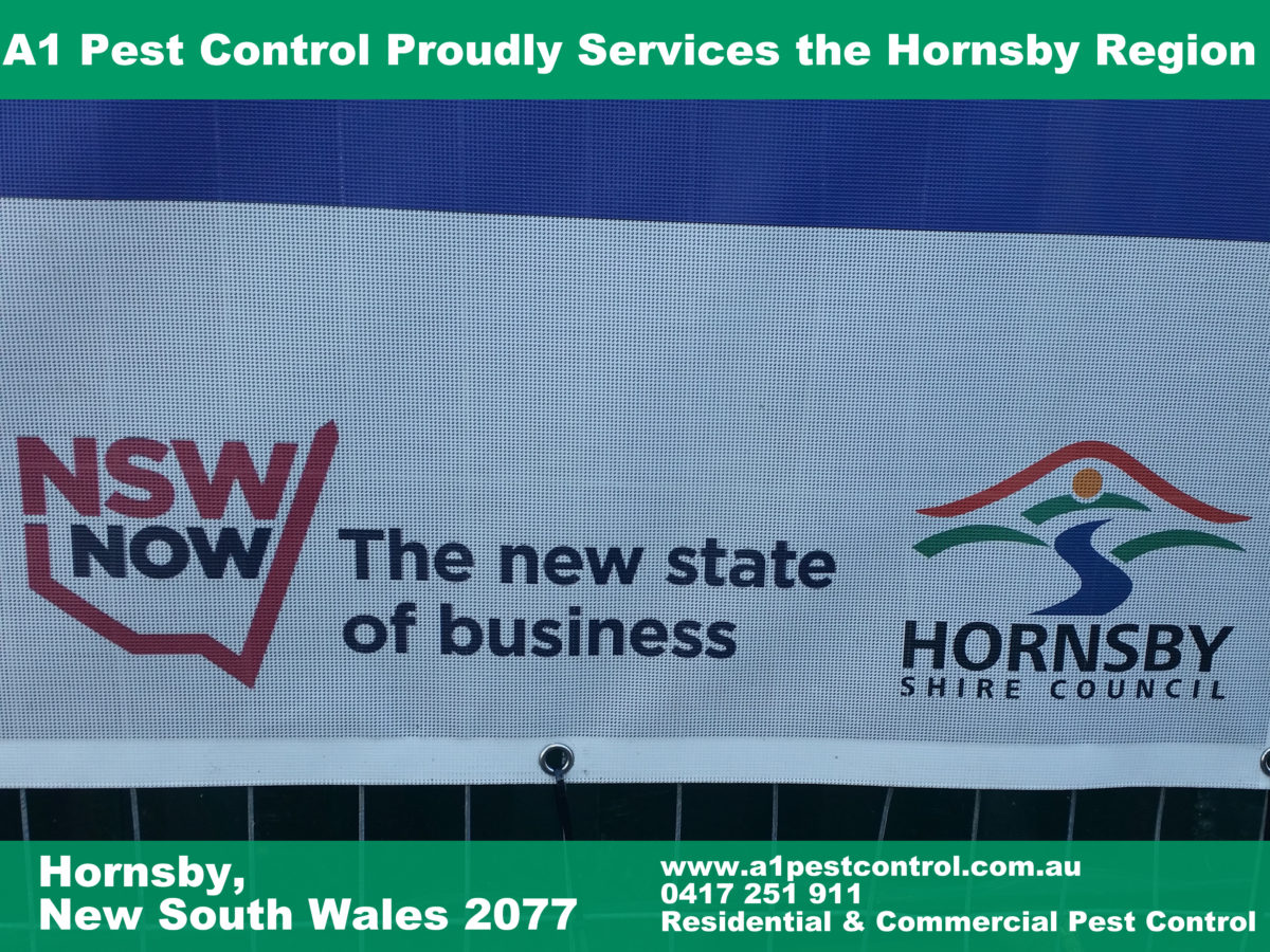 Pest Control Hornsby Shire