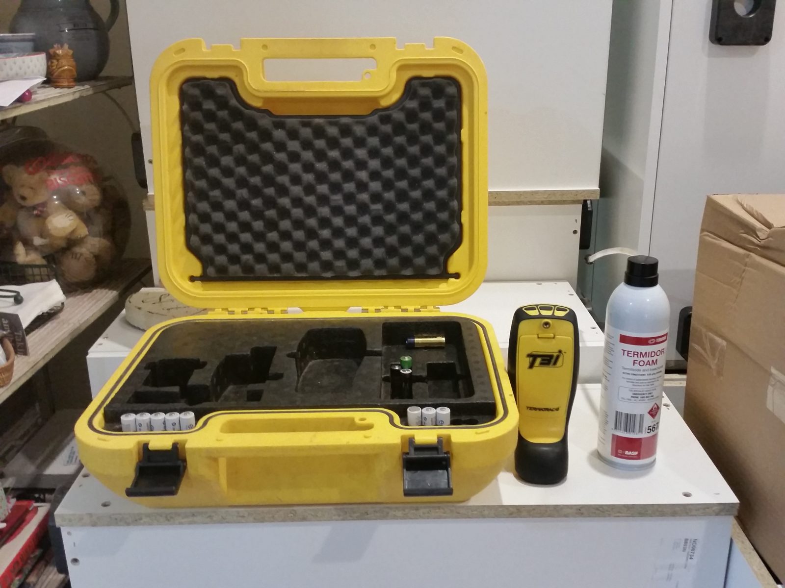 Pest Control Termite Inspection & Treatment