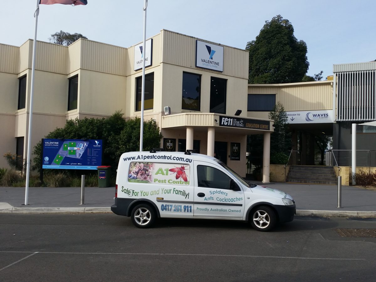 A1 Pest Control Glenwood - Termite Inspections