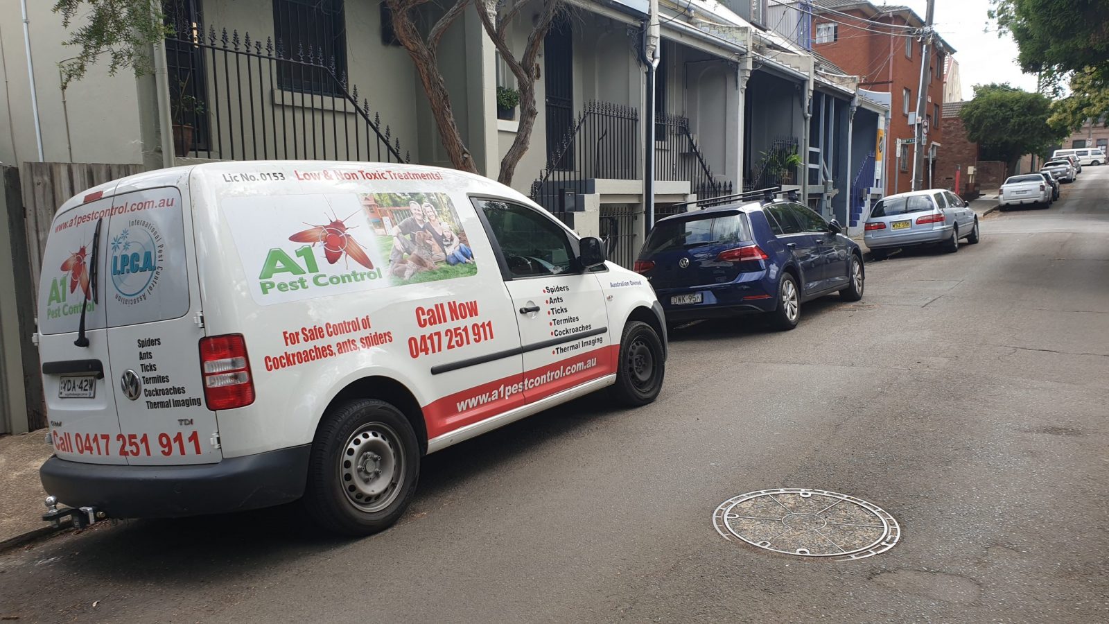 A1 Pest Control Camperdown - Termite Inspection - Pest Control