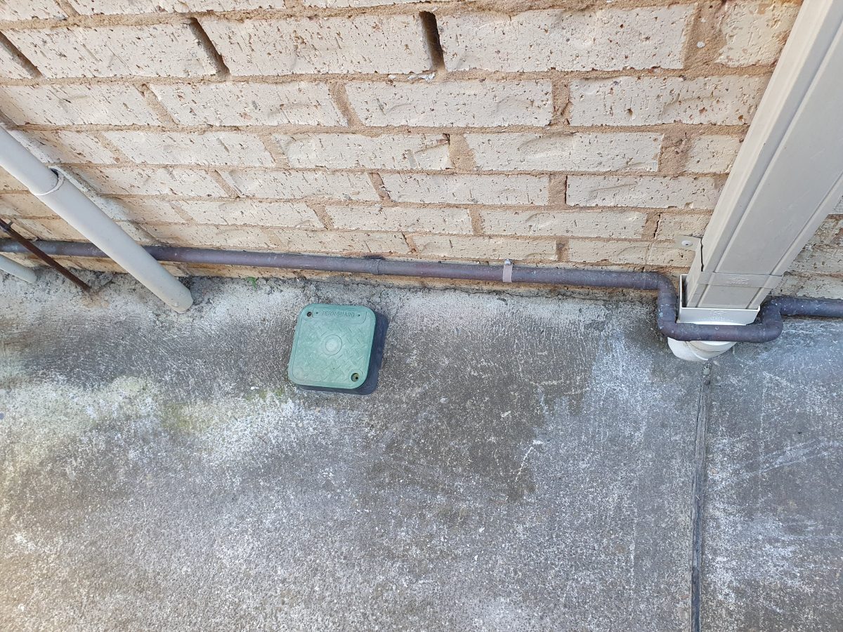 A1 Pest Control Glenwood - Termite Inspections