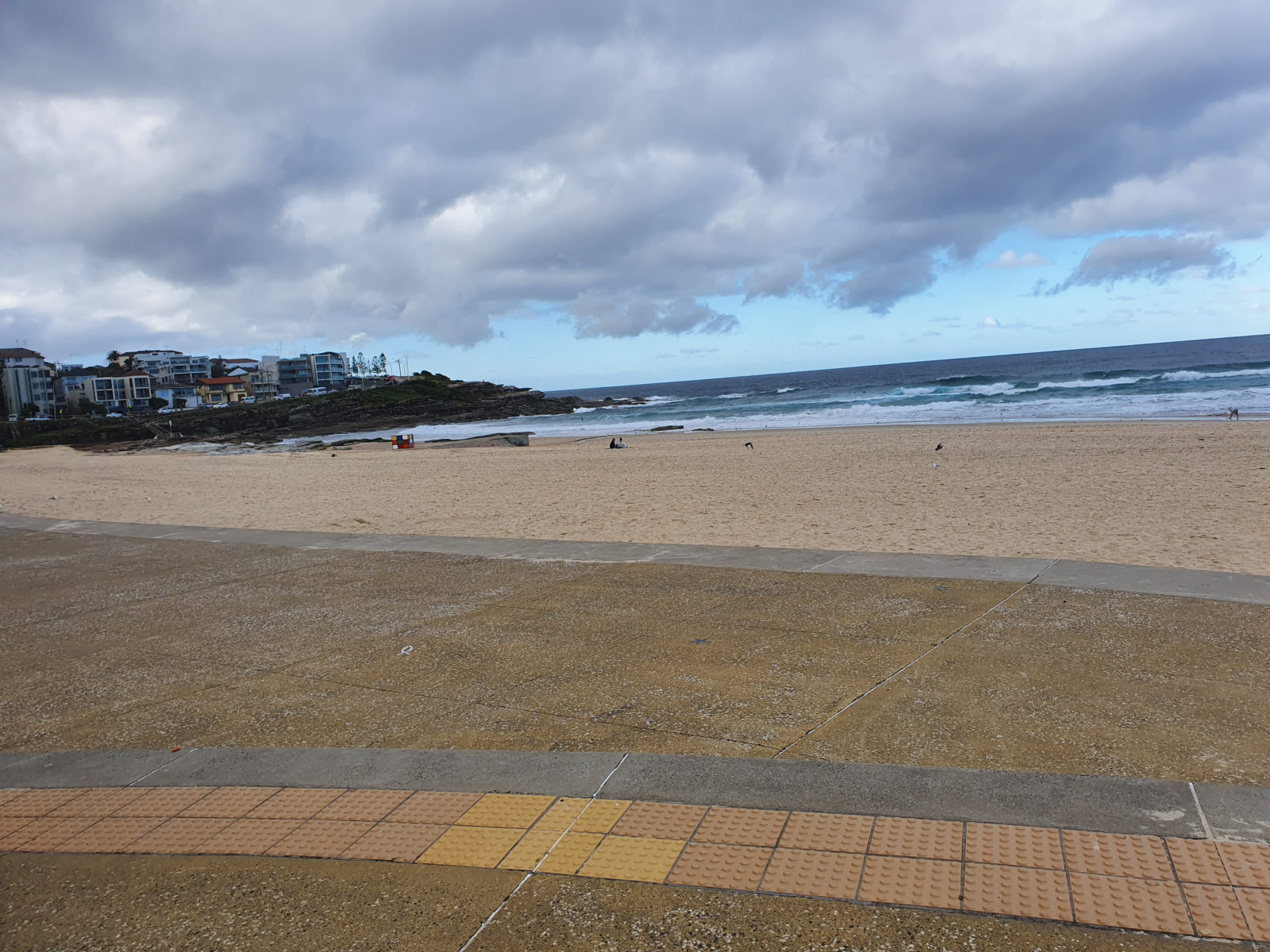 Maroubra Beach Headland - A1 Pest Control