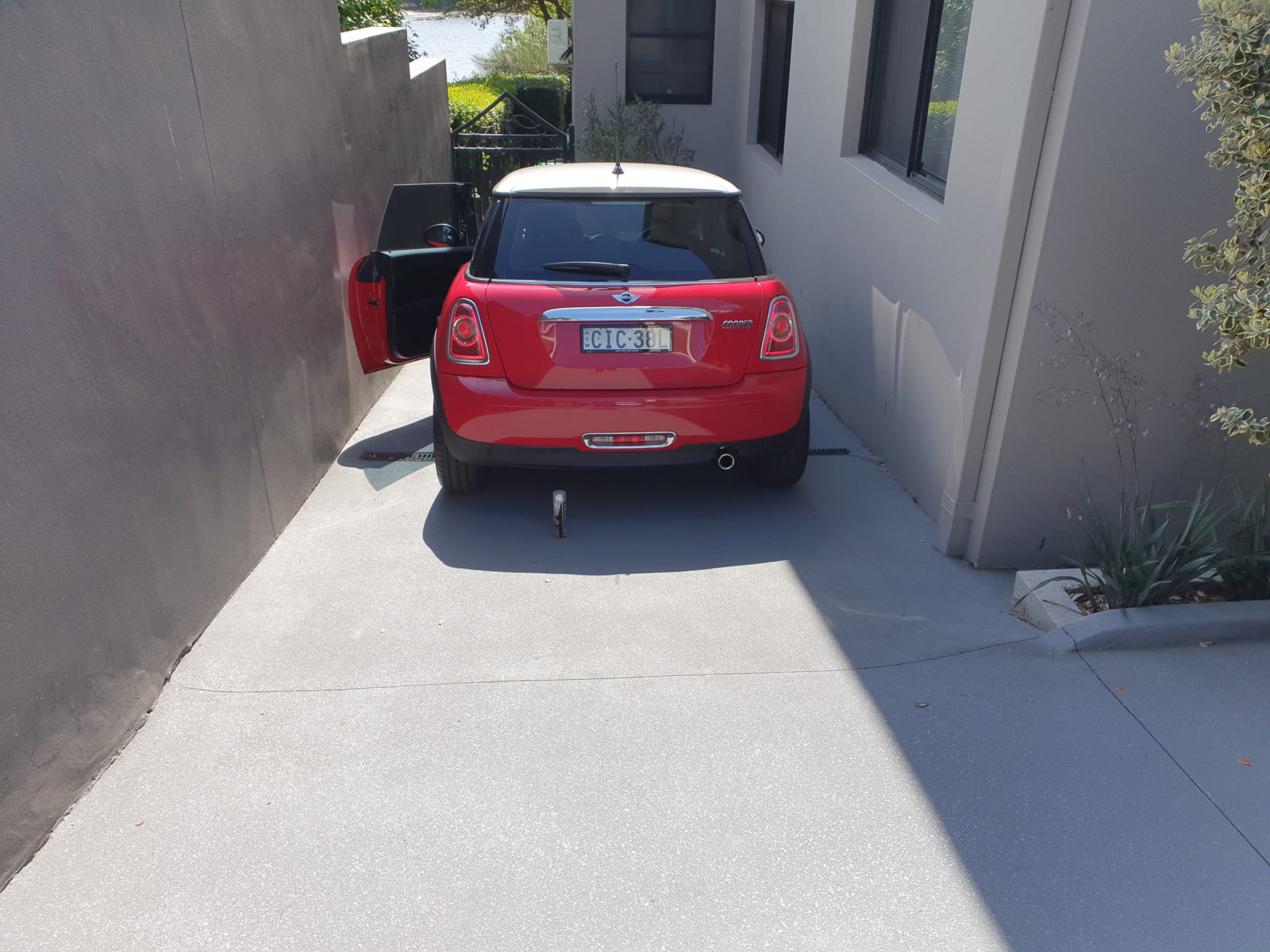 Get Rid of Ants & Cockroaches in Your Car in Sydney