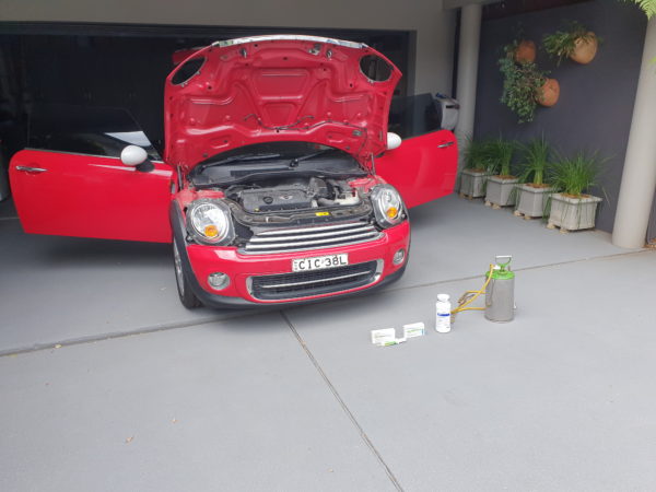 Get Rid of Ants & Cockroaches in Your Car in Sydney