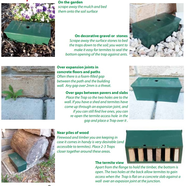 Pros and Cons of Termite Bait Stations - Sydney Reviews