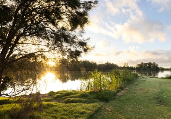 Large 1920px Wide-Telarah Lagoon 03 - A1 Pest Control