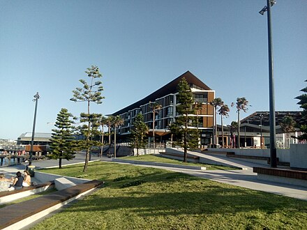 Pest Control Shell Cove - Termites