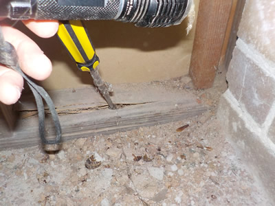 Sydney Termite Barriers | Long-Term Termite Protection by A1 Pest Control
